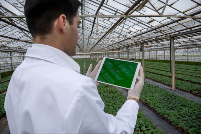 Integrated Networking LLC: Farm Efficiency & Growth Experts